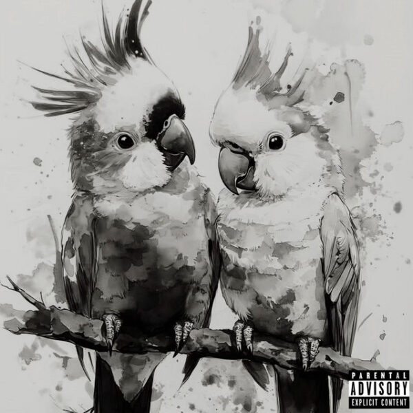 Drake - ICEMAN (18 tracks) - HipHopDrops.com